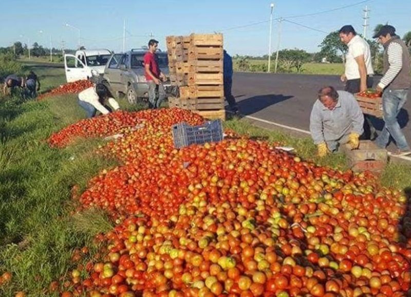 Productores hortícolas de Santa Lucía indignados con la caída de precios